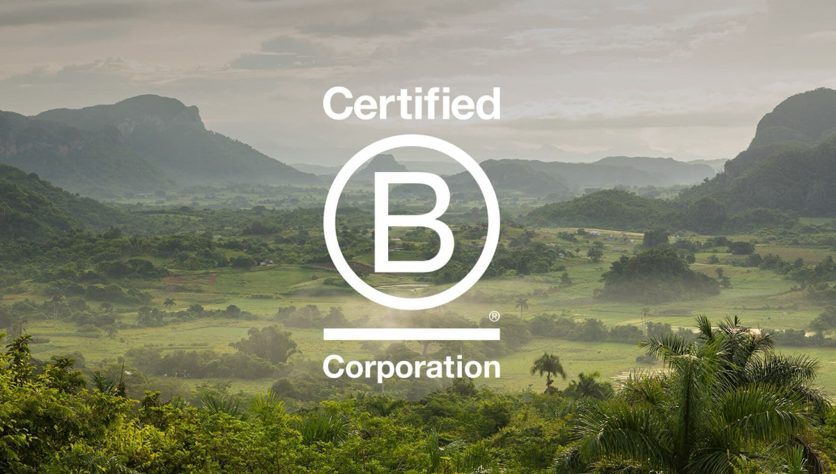 Proud to be B Corp™ – OGLmove
